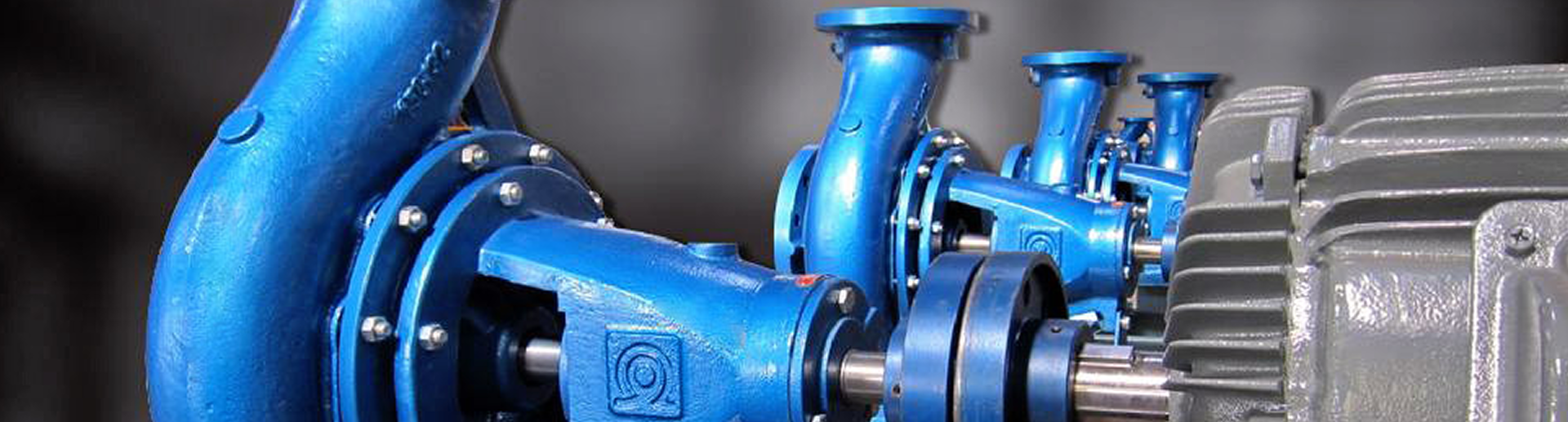 Triple Duty Valves – Dryco Filtration